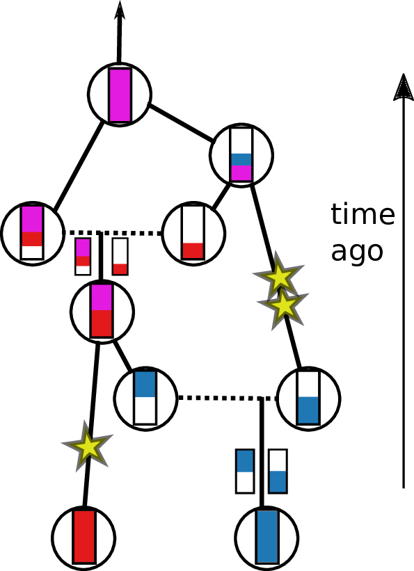 A practical introduction to the tree sequence: