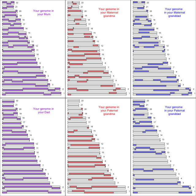 A practical introduction to the tree sequence: