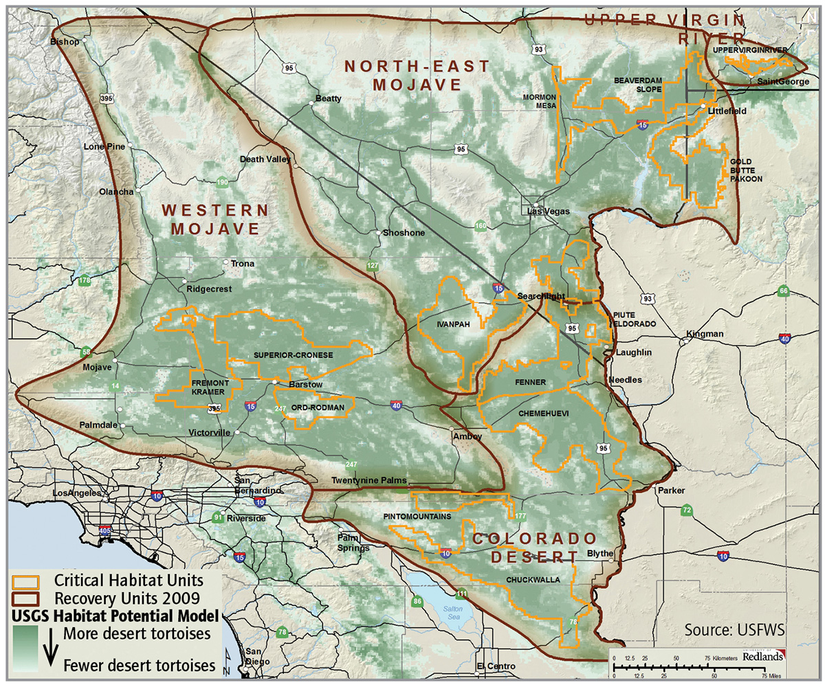 Scaling up genomic computation with the tree sequence