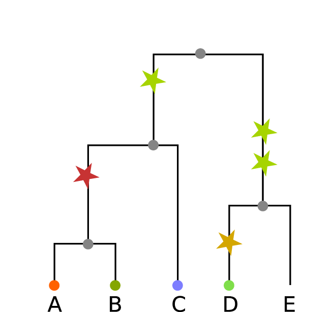 Scaling up genomic computation with the tree sequence